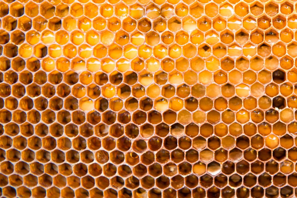 How to Develop Accounting Software [Complete Guide] | Gearheart